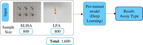 Framework For Assay Type Detection Using Inductive Transfer Learning Download Scientific Diagram