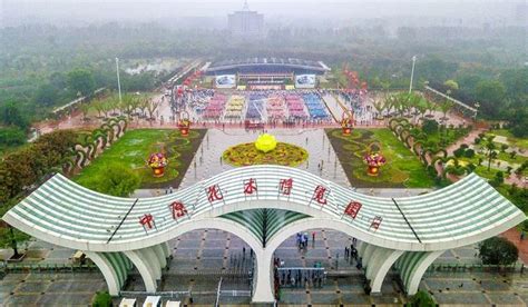 鄢陵花木市场 鄢陵花木 花木市场 第2页 大山谷图库
