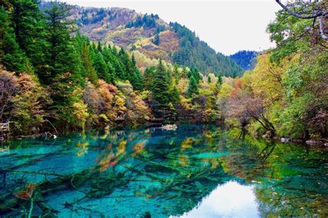 Premium Ai Image Natural Beauty