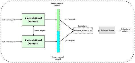 A Deep Learning Technique For Biometric Authentication Using Ecg Beat Template Matching