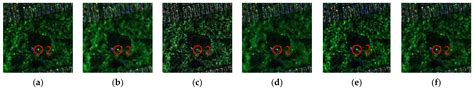 Polarimetric Synthetic Aperture Radar Speckle Filter Based On Joint Similarity Measurement Criterion