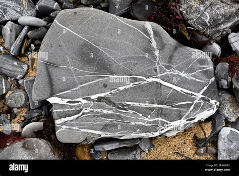 Limestone Fragments With Calcite Veins Saint Jean De Luz Aquitaine