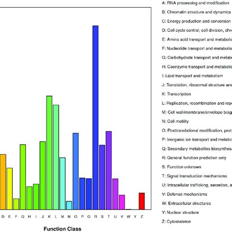 Cog Function Classification By Blastx With An E Value Threshold Of 10 − Download Scientific