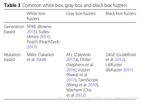 Fuzzing技术总结（brief Surveys On Fuzz Testing） Wcventureregexfuzzer Csdn博客
