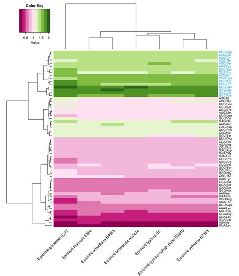Figure 4 From Comprehensive Analysis Of Codon Usage Bias In Seven Epichloë Species And Their