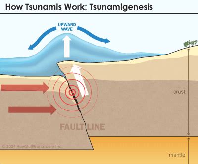 Tsunami Potápění Ponory Moře Žabácicz Potápění Ponory Moře