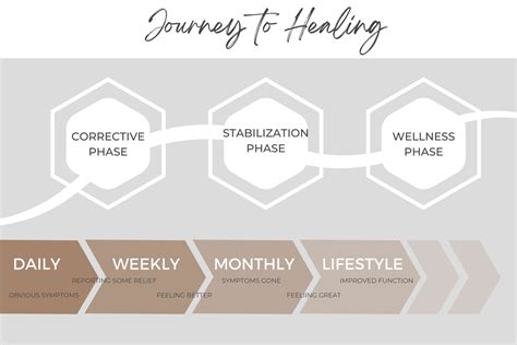 Learn About The 3 Phases Of Chiropractic Corrective Maintenance And