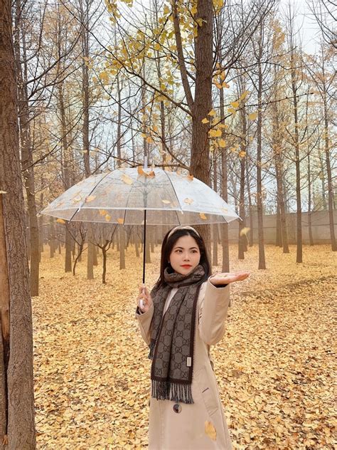 顺颂时祺，秋绥冬禧，慢度日常。人间忽晚山河已秋🍂mt小助 美图社区 美图秀秀