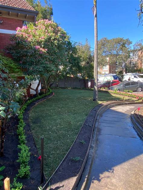 Tree Pruning Melbourne Must Have Maintenance