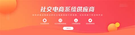 Bizspring Java移动电商 跨境电商 社交电商 商城源码