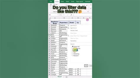 do you filter like this in excel shorts theexcelexperience excel