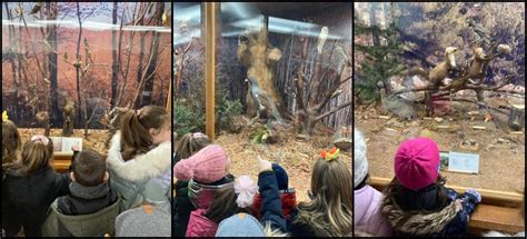 Μουσείο φυσικής ιστορίας Σχολεία ΑΞΙΟΝ