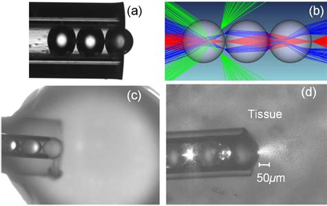 Photonic Nanojets For Laser Surgery Spie The International Society For Optics And Photonics Spie