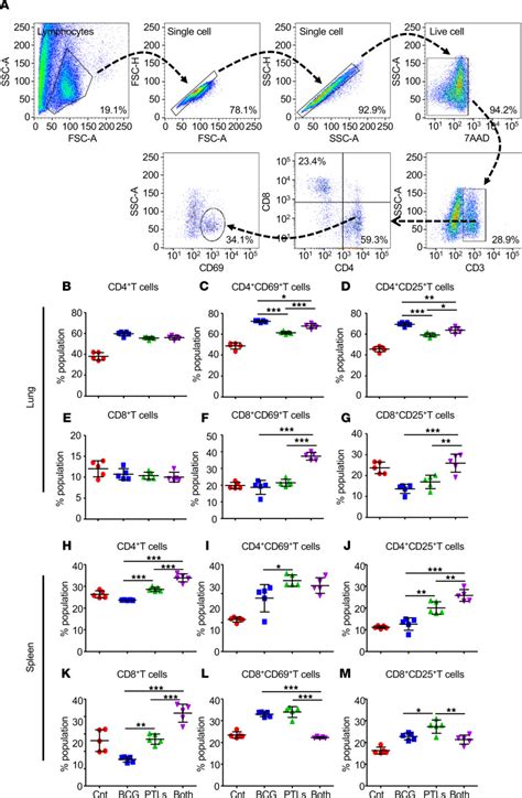Intranasal Immunization With Peptide Based Immunogenic Complex Enhances Bcg Vaccine Efficacy In