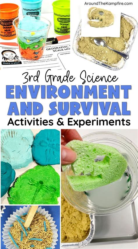 Environments And Survival Science Activities For Rd Grade Rd Grade Science Experiments