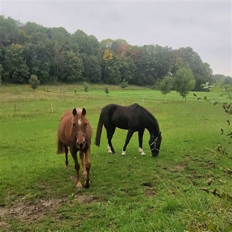 Монгол Улс Бүгд Найрамдах Хятад Ард Улс Оросын Холбооны Улсын төрийн тэргүүн 2025 оны 09