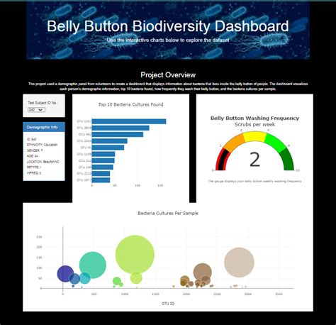GitHub Crsamc Belly Button Biodiversity