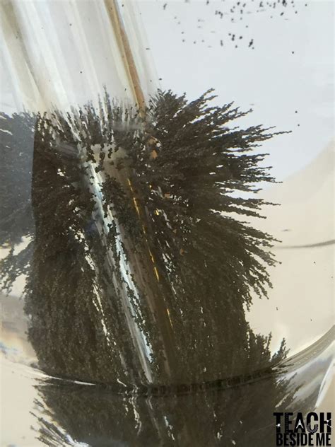 Magnet Stem Exploring Magnetic Fields Artofit