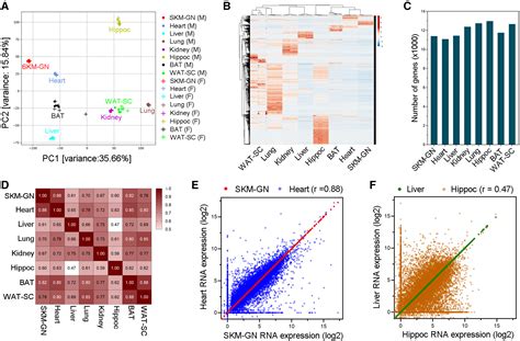 Molecular Adaptations In Response To Exercise Training Are Associated With Tissue Specific