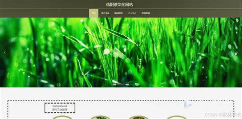 Java计算机毕业设计信阳茶文化网站（开题报告源码论文） Csdn博客