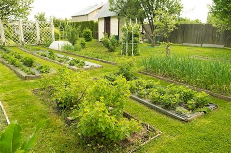 Premium Photo Beautiful And Wellgroomed Garden Bed On The Garden Plot