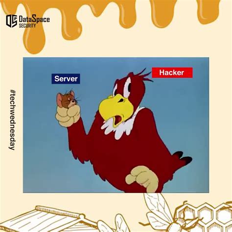 Dataspace Security On Linkedin Cybersecurity Hackers Honeypot Pentesting Networkanalyst