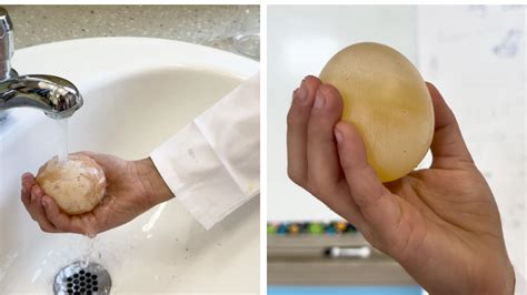 Egg And Vinegar Experiment How To Plus Free Recording Sheet