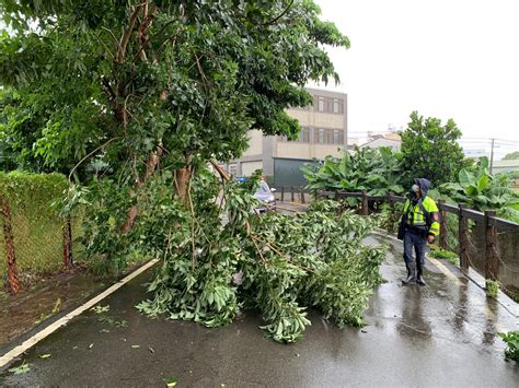 狂風暴雨路樹吹斷｜豐原警及時清除保障用路人安全