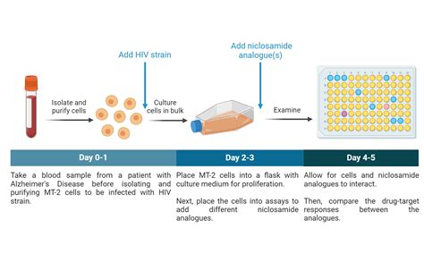 Cell Assay For Testing Niclosamide Analogues To Treat Hiv Biorender