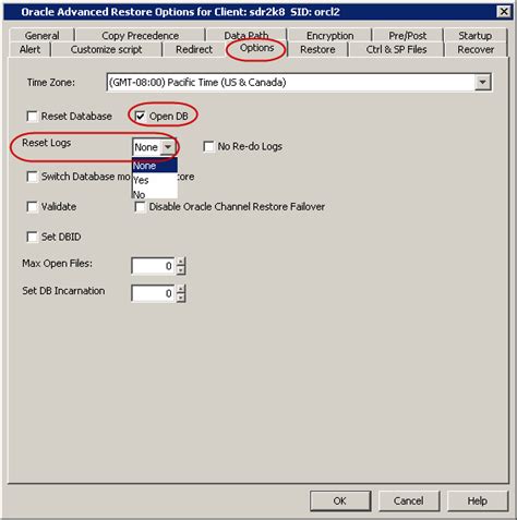 Advanced Oracle Idataagent Restore