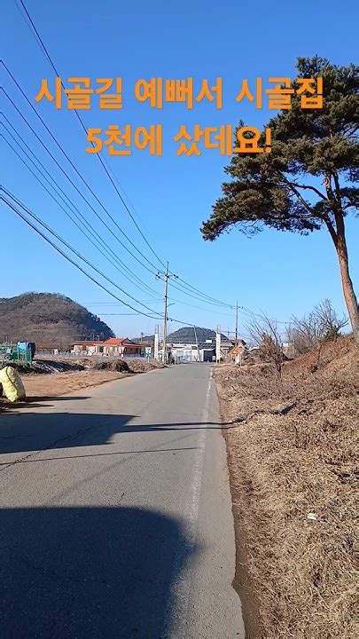 시골길 예뻐서 시골집 5천에 샀데요 재미있는 Shorts 옛날집 여행 부동산 빈집 한옥 멋진산 오지마을 전원주택 골동품