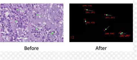 模板匹配OpenCV数字图像处理信息PNG图片素材下载 图片编号5423972 PNG素材网