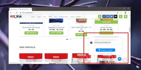 How To Hide Chat Pop Ups On Websites