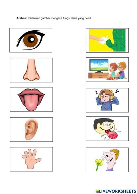 3650391 хүн ба орчин Aamarjargal Liveworksheets