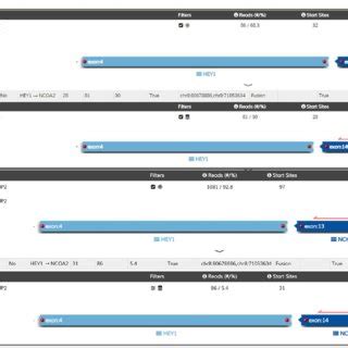 A Analysis Of Anchored Multiplex PCR Result Of The Archer FusionPlex Download Scientific