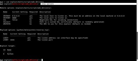 From Command Injection To Meterpreter Shell Detailed Tutorial 2018