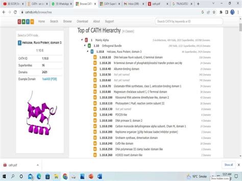 Cath 171102055313 Pptx