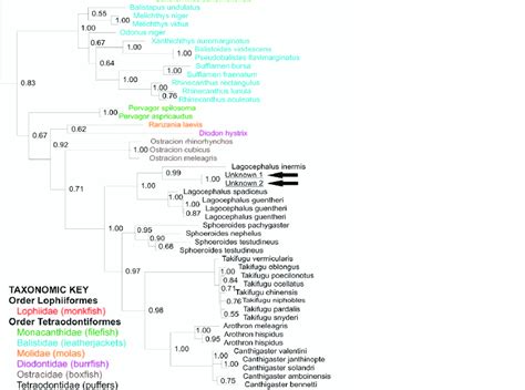 Bayesian Inference Analysis Of Nodal Confidence For The Download Scientific Diagram