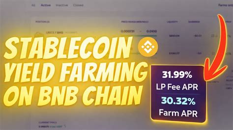 Yield Farming Stablecoins On Bnb Chain Pancakeswap Youtube