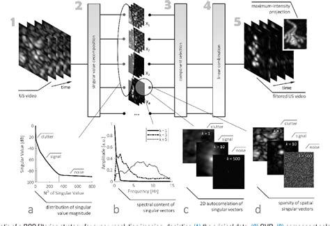 Figure 1 From Blind Source Separation For Clutter And Noise Suppression In Ultrasound Imaging