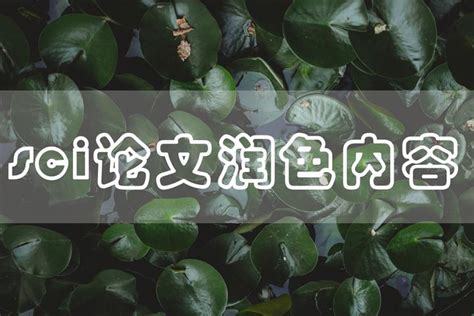 Sci论文润色内容 知乎