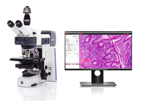 数字病理成像系统 Zeiss Mds