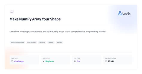 Make Numpy Array Your Shape Labex