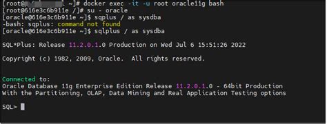 Oracle Docker Docker Oracle Csdn
