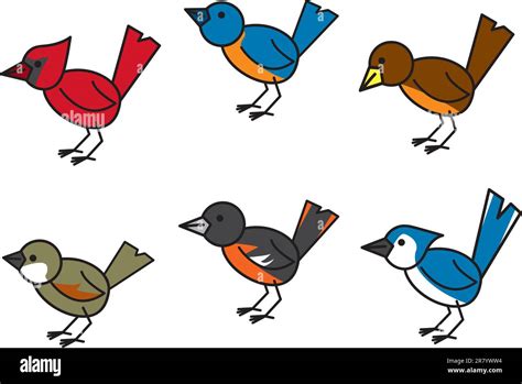 Popular Birds