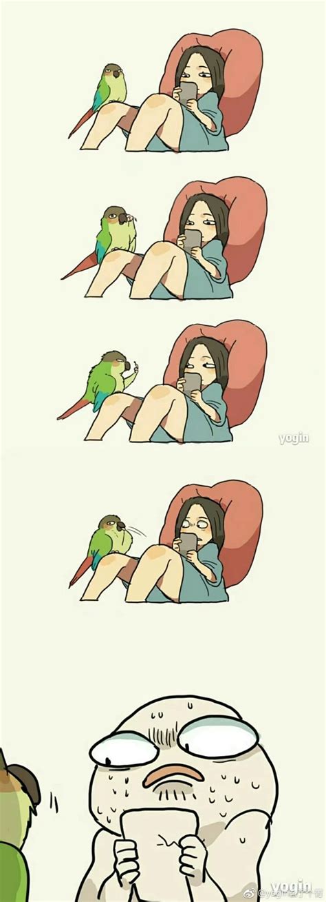 我养的可能是假鸟——早期作品最近短漫被营销号盗图厉害终于学会玩微博了，谢谢大家的关注 神烦鸟底迪酱 花瓣网