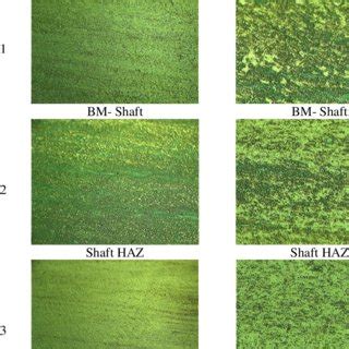 Microscopic Optical Aspect In Cross Section Download Scientific Diagram
