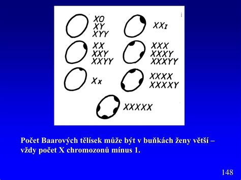 Ppt Sex Testy Powerpoint Presentation Free Download Id