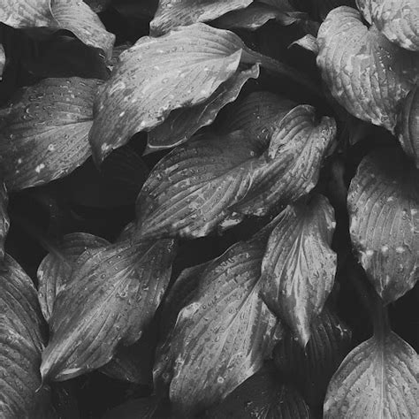 미묘한 집중 분위기 Youtube Music