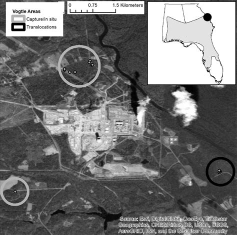 Locations Of Southeastern Pocket Gopher Capture And Relocation Sites At